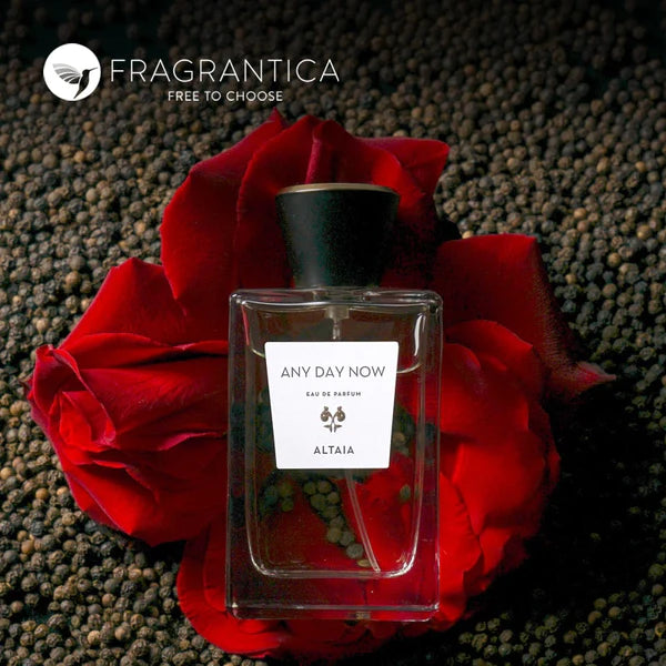 ALTAIA Any Day Now Eau de Parfum seen on Fragrantica.com | Beauty Frontier